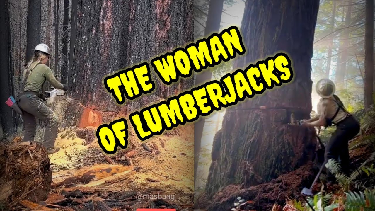 the woman of lumberjacks a big trees - YouTube