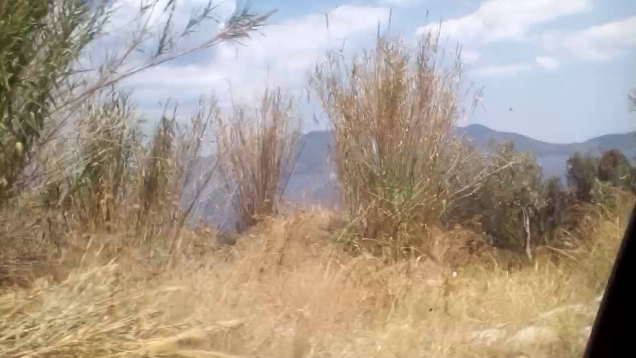Ταξιδι στην φυση - YouTube