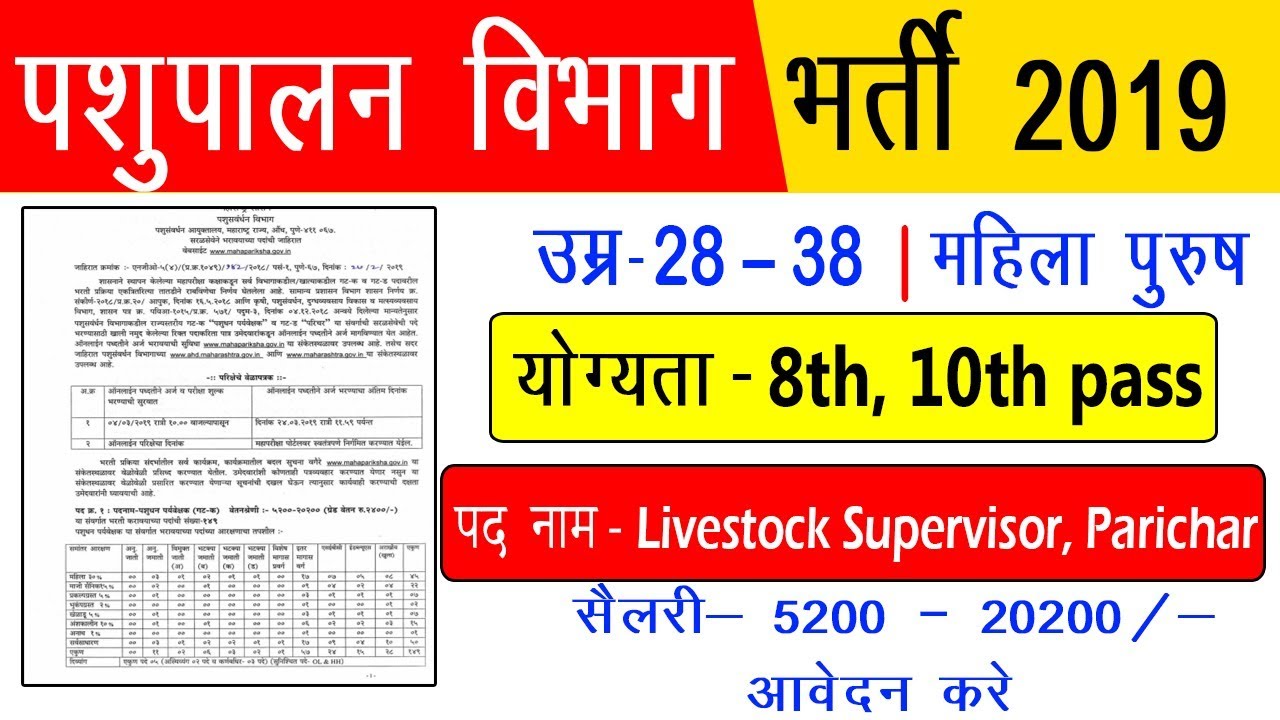 Latest Govt Jobs 2019 Sarkari Result 2019 2019 YouTube latest-govt-jobs-2019-sarkari-result-2019-2019-youtube