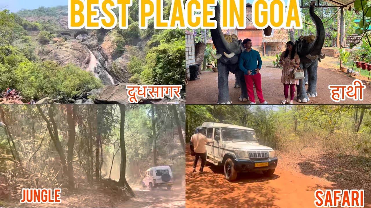 Jungle Safari With Mahindra Bolero in 🌳Goa | Day-3 | Khushal Dagar ...