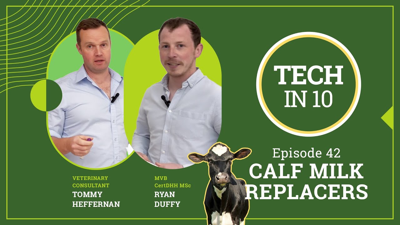 Tech in 10 - Episode 42: Calf Milk Replacers Explained: What to Look ...