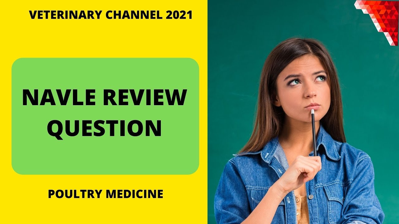 NAVLE REVIEW QUESTION : POULTRY MEDICINE - YouTube