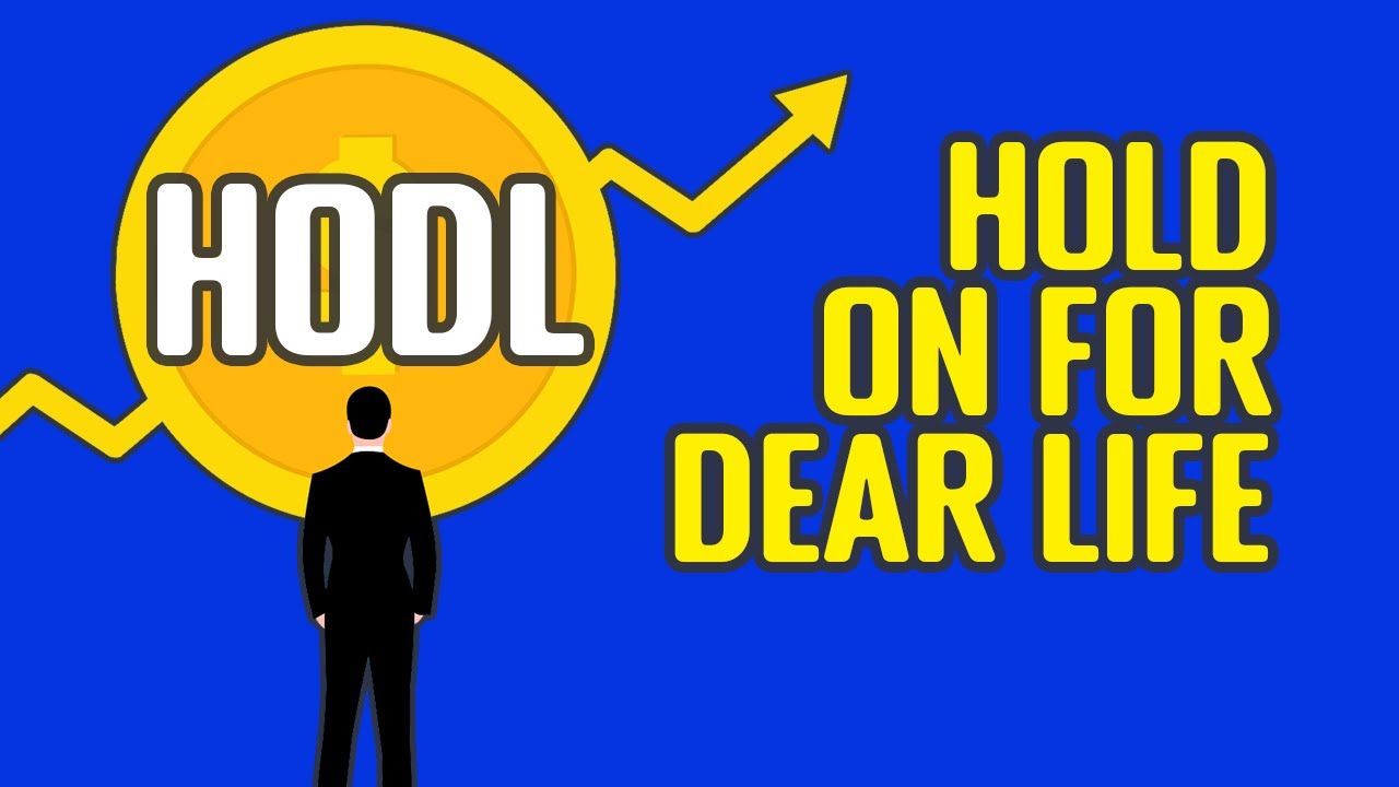HODL Explained - Hold On for Dear Life - The Difference Between HODLing vs Trading - YouTube