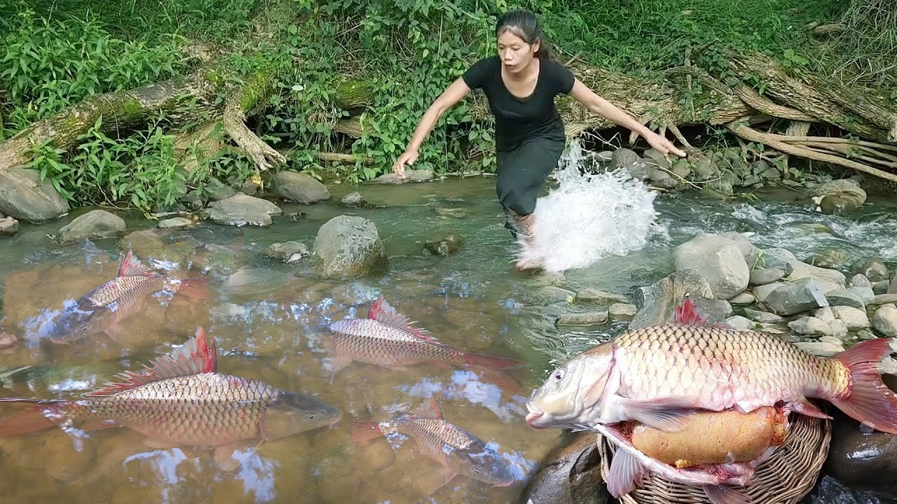 Survival in rainforest, Catch & cook, Fish egg hot chili grill on rock ...