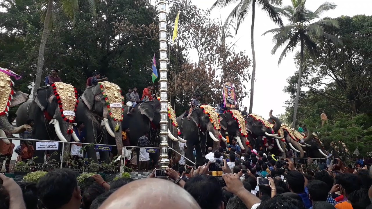 Pambadi rajan &chirakkal kalidasan @ kallumpuram palli perunnal ...
