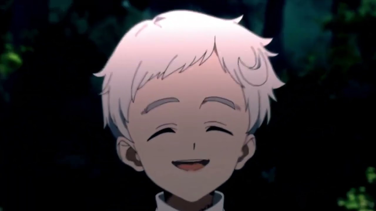 𝚃𝙿𝙽 𝙴𝚍𝚒𝚝𝚜 𝚃𝚑𝚊𝚝 𝙴𝚟𝚎𝚛𝚢 𝚃𝙿𝙽 𝙵𝚊𝚗 𝙼𝚄𝚂𝚃 𝚆𝚊𝚝𝚌𝚑 [𝚂𝙿𝙾𝙸𝙻𝙴𝚁𝚂!] - YouTube