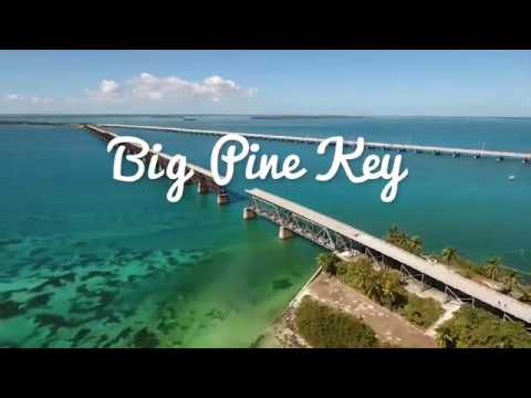 Big Pine Key lobster and spearfishing - Summer 2018 - YouTube