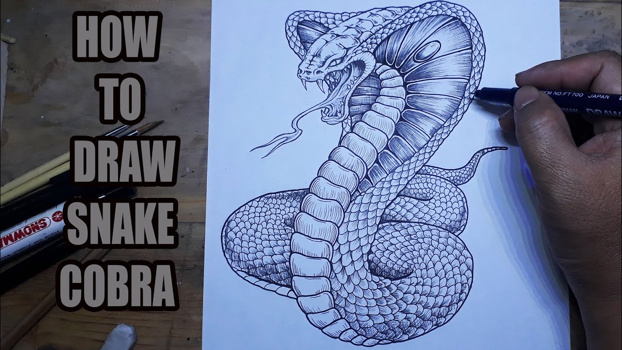 MENGGAMBAR ULAR COBRA | HOW TO DRAW SNAKE COBRA#caramenggambar# ...