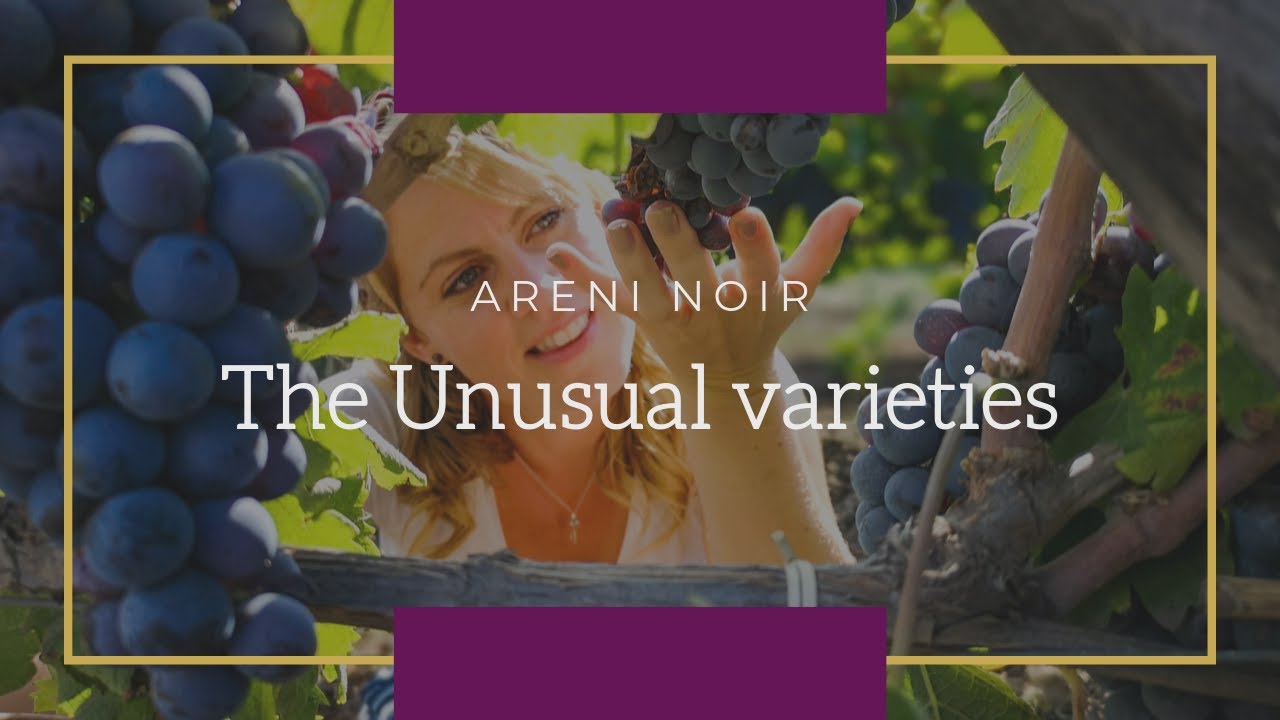 Love wine Learn wine - The unusual varieties: Areni Noir - YouTube