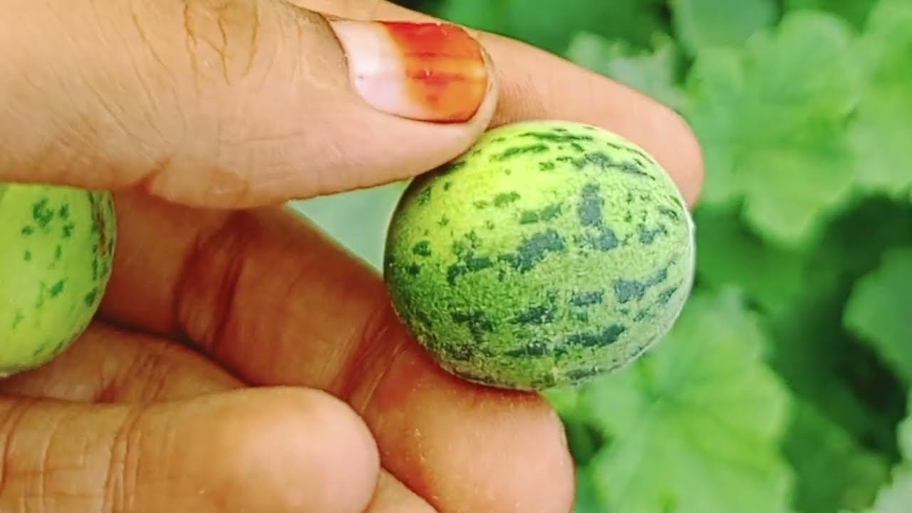Bangla New Hot Choti Golpo 😍মা ছেলের নতুন গল্প😍 Maa Cheler Choti 2025 ...