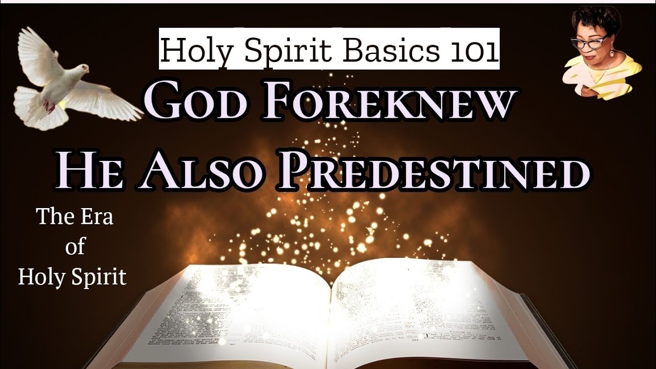 God Foreknew He Also Predestined "Holy Spirit Basics 101" - YouTube
