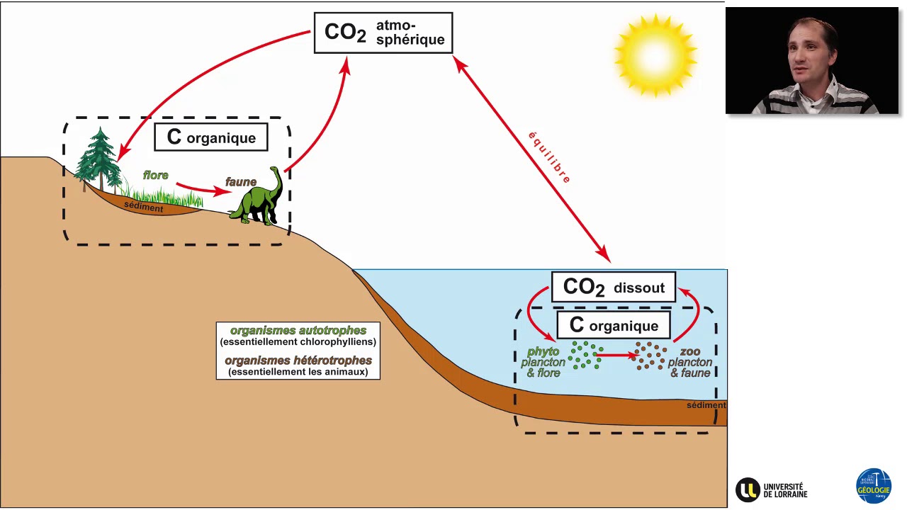 Le cycle du carbone en géologie sédimentaire (par Yann Hautevelle ...