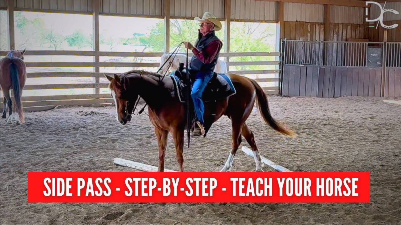 D/C How to Teach your Horse to Side Pass Easily - YouTube