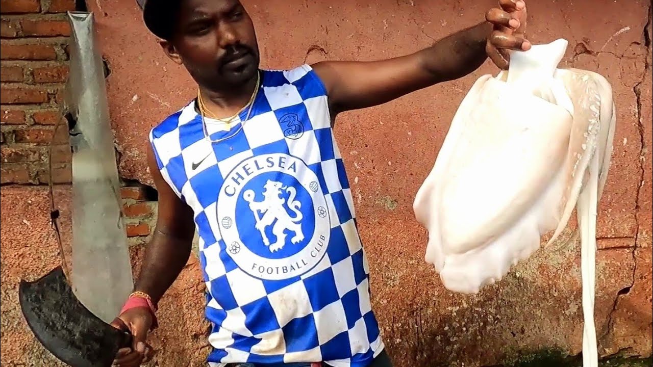 BIG CUTTLEFISH CUTTING - YouTube