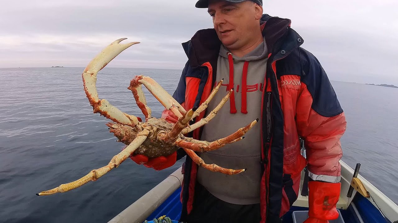 Enormous Crab 🦀 From Ocean to Plate - YouTube