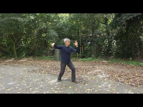 Yang Shao-Hou Tai Chi Chuan via Gu Li-Sheng, the 4th route (of 6 routes).