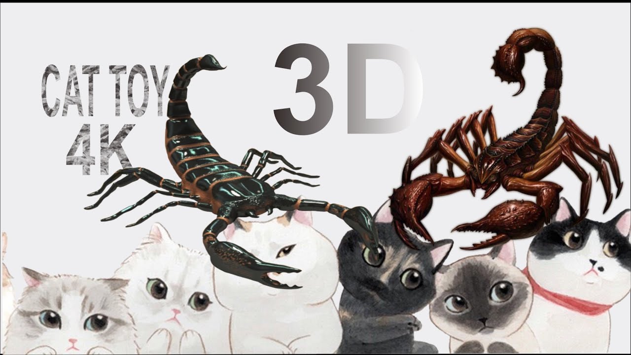 Kalajengking 3D Mainan Kucing 4K CAT GAMES - YouTube