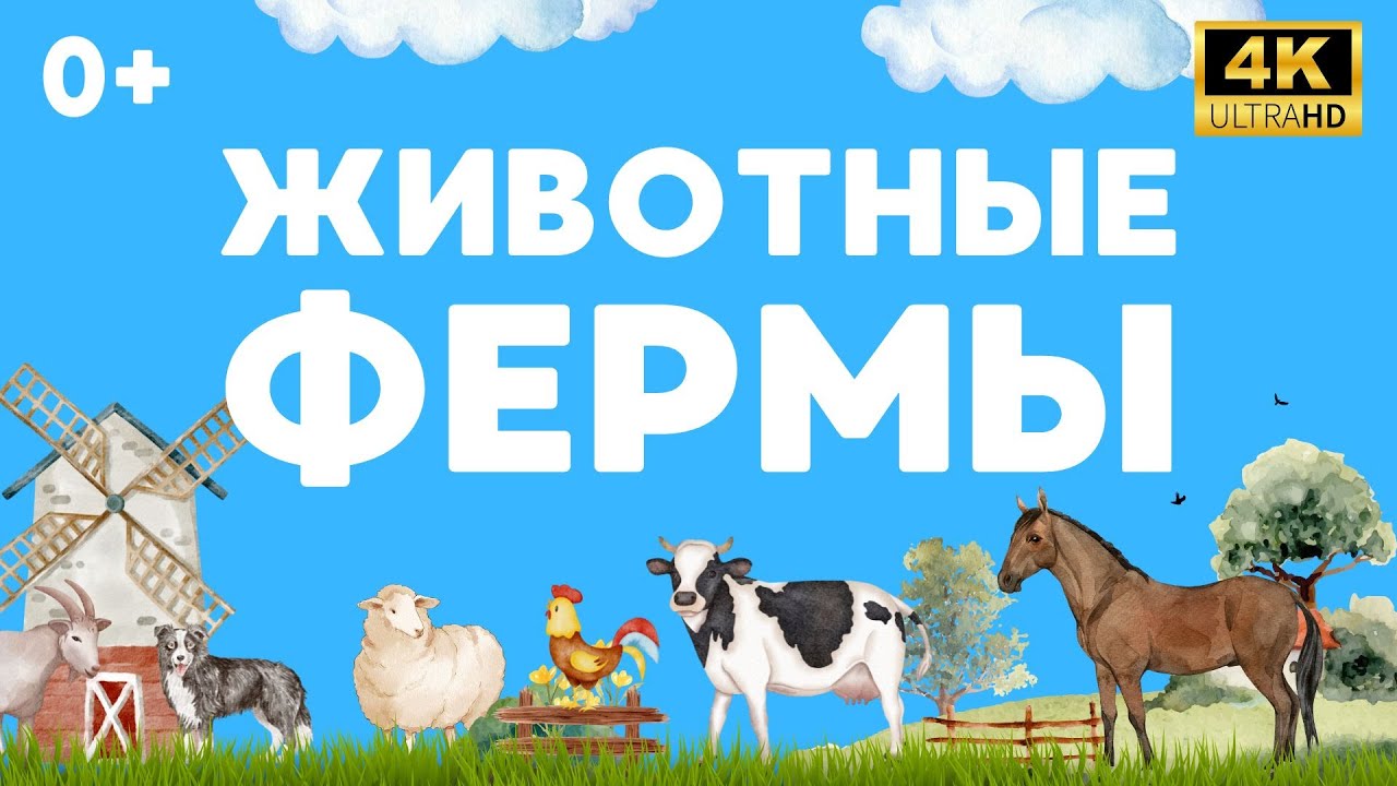 Животные фермы для детей 0 Максифильм Youtube