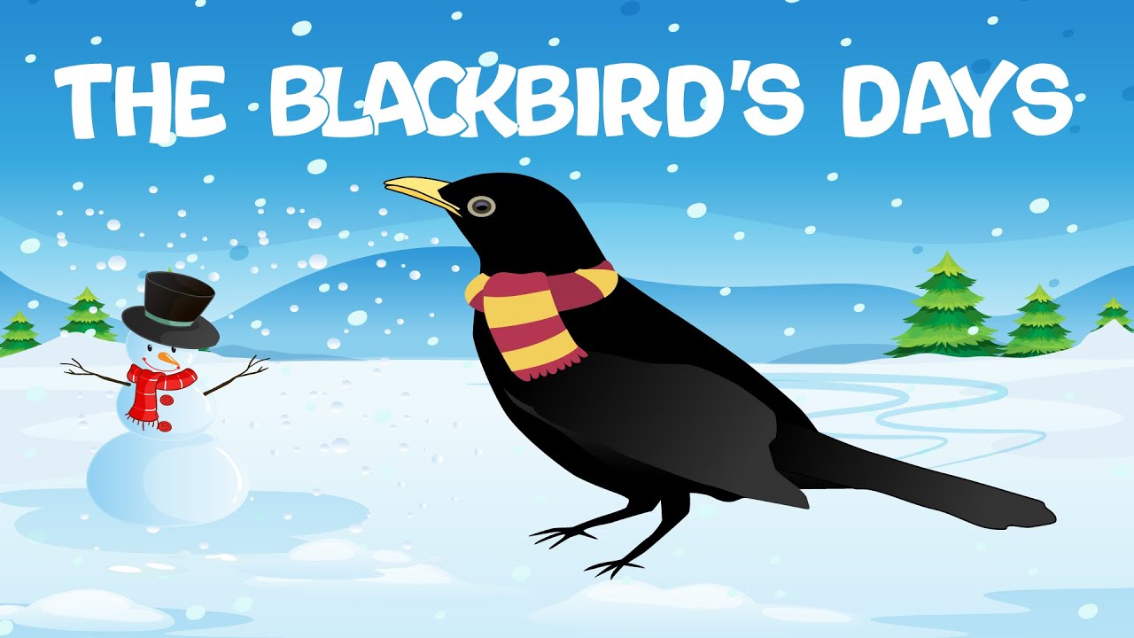 The Blackbird's Days by Alex Nobili - YouTube