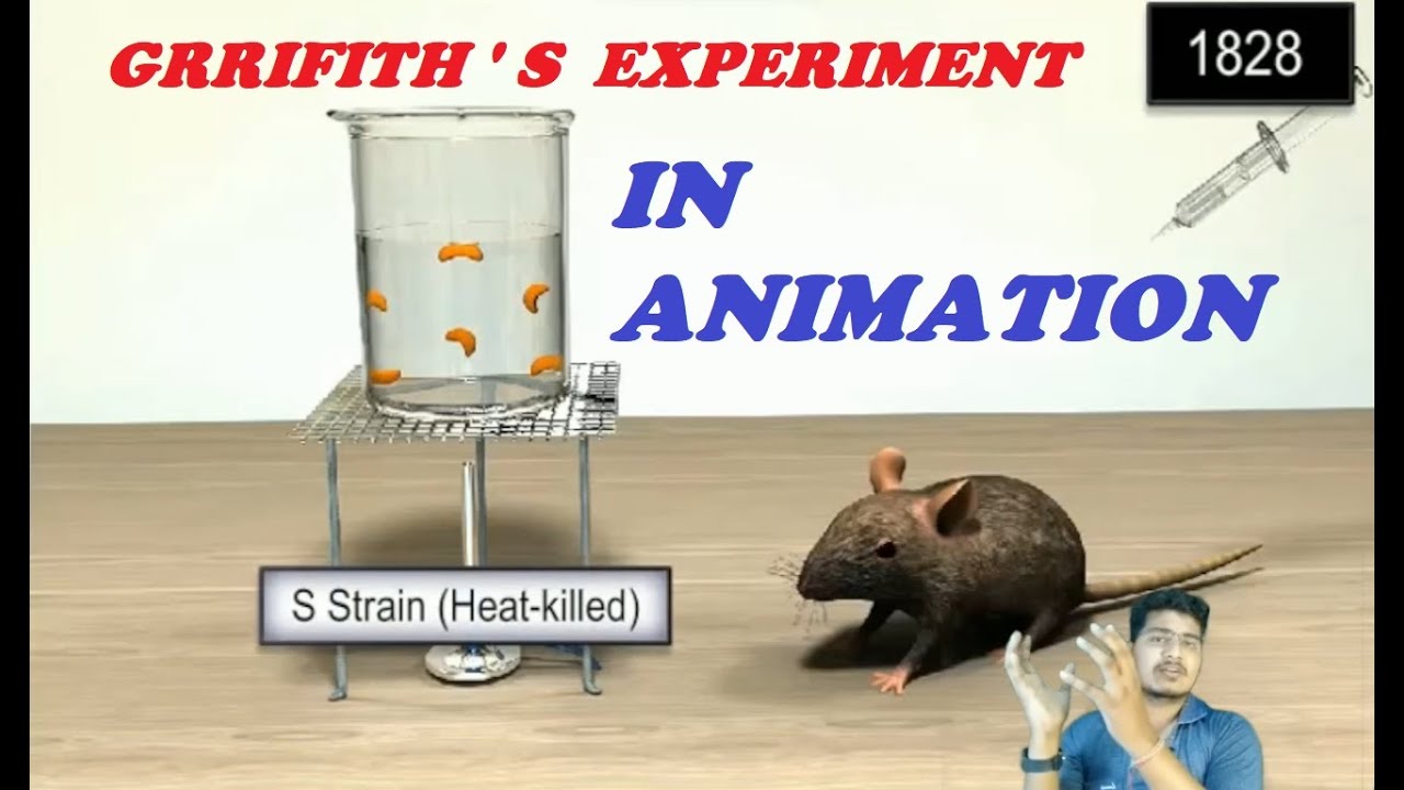 Griffith ' s Experiment in Animation - YouTube