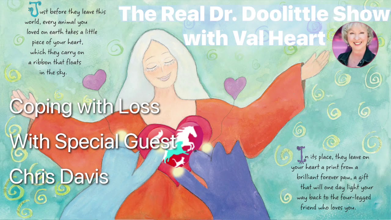 Coping with Loss - Chris Davis on The Real Dr. Doolittle Show™ | Animal ...