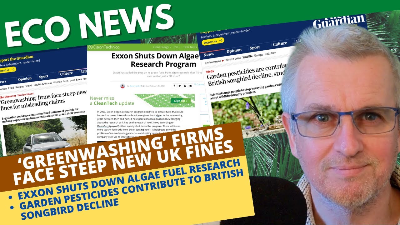 Green News Today- ‘Greenwashing’ Firms Face Fines; Exxon Stops Algae ...