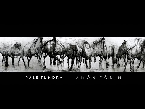 Amon Tobin Pale Tundra
