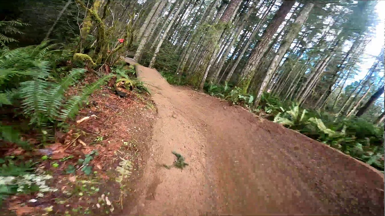Duthie Hills Infamous HLC Trail - YouTube