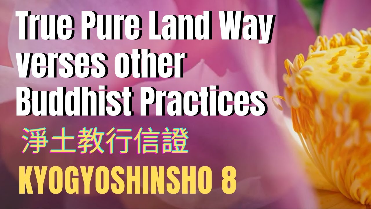Ch. 38- 8 | Why follow the True Pure Land Way and not other Buddhist ...