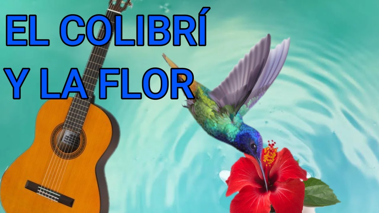EL COLIBRÍ Y LA FLOR, Silvio Rodriguez, Cover by Daniel Gómez Tejada ...