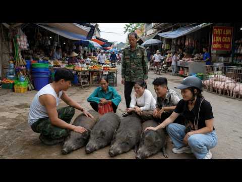 CEO Trieu Khang Takes His Wild Boars to the Village Market • One Year of Natural Farming Pays Off