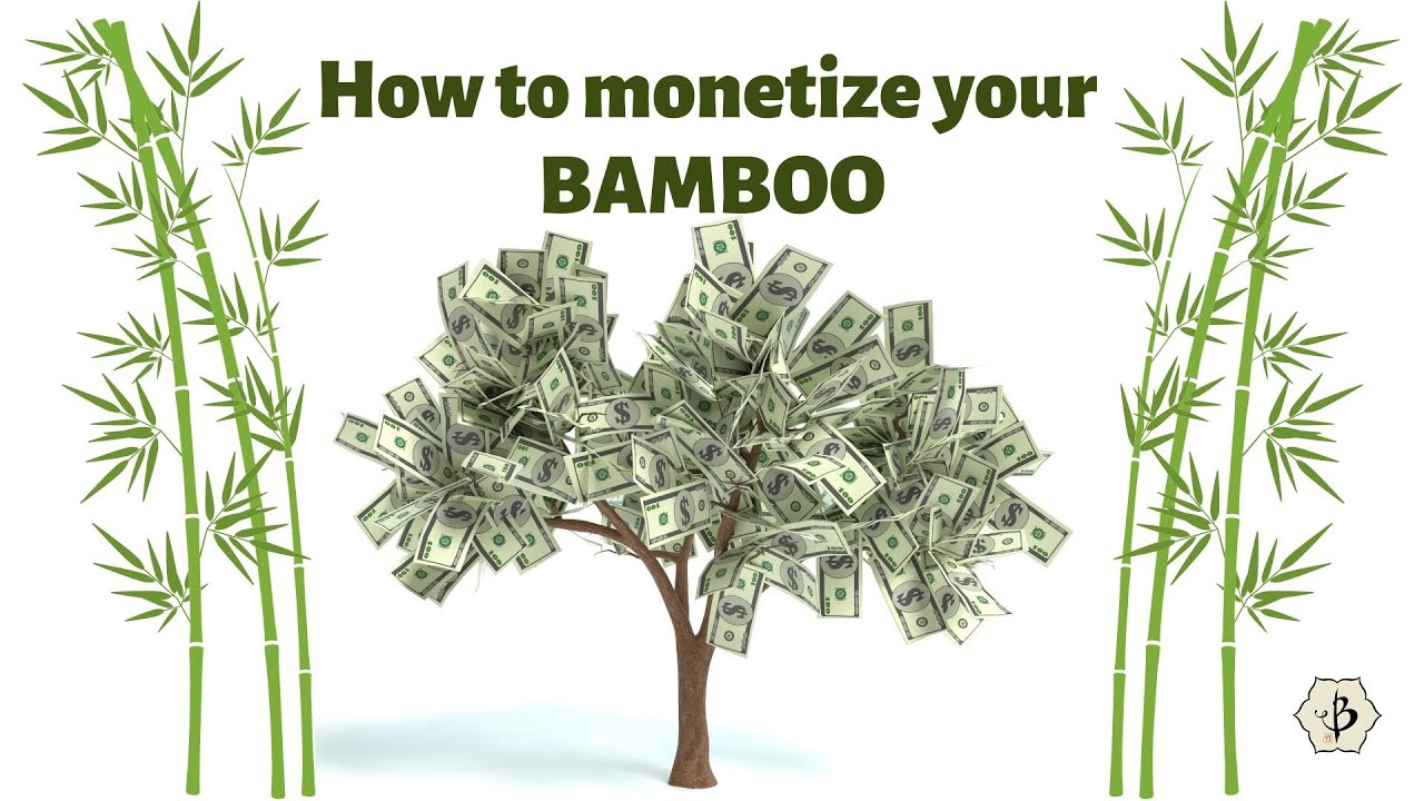How to monetize your bamboo - YouTube