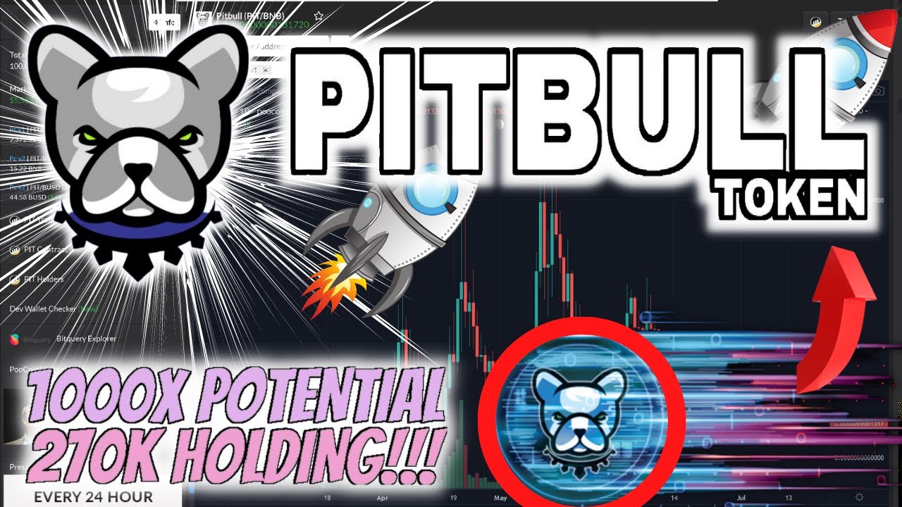 PITBULL TOKEN Update 1000X Potential , June 2021, New Low Market Cap ...