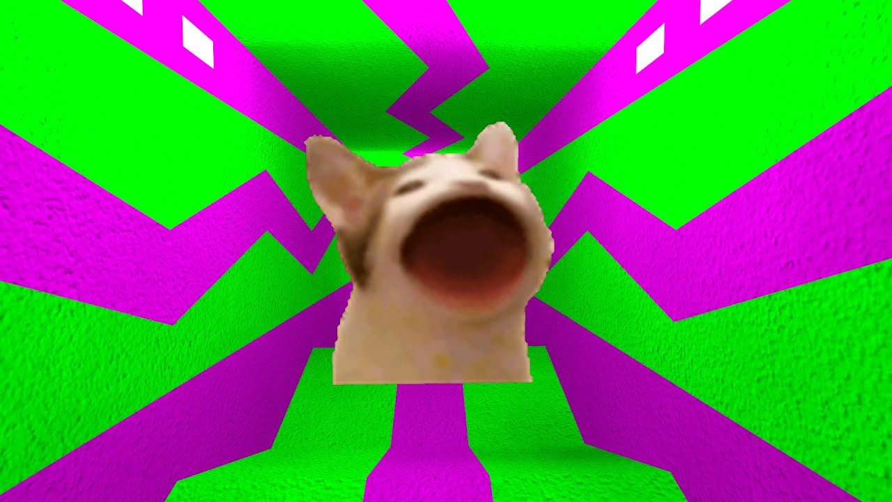 Pop cat Nextbot in Gmod - YouTube