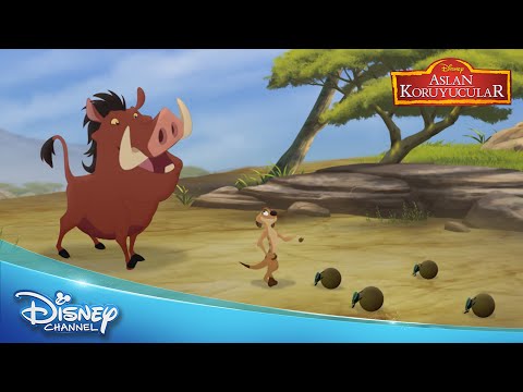 Aslan Koruyucular - Hakuna Matata