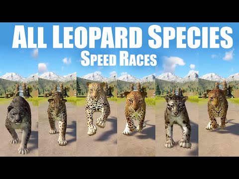 All Leopard Species Races in Planet Zoo included African Leopard ...