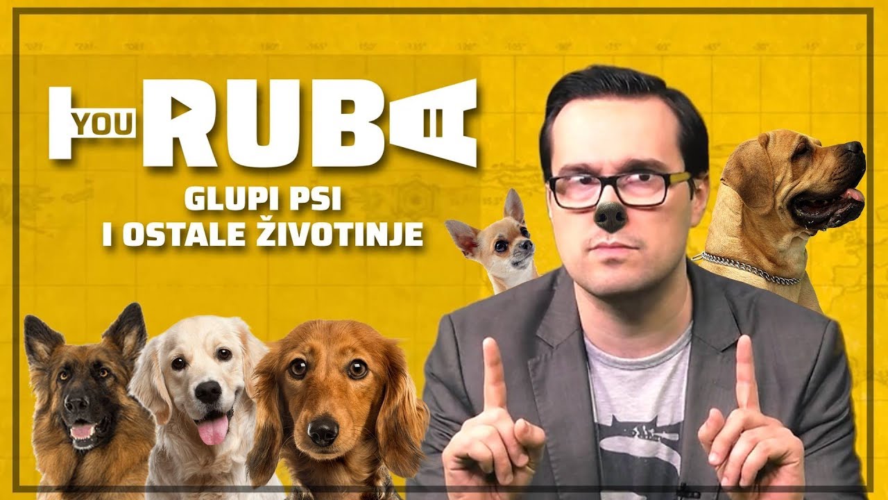Glupi psi i ostale životinje #01｜YouTruba - YouTube