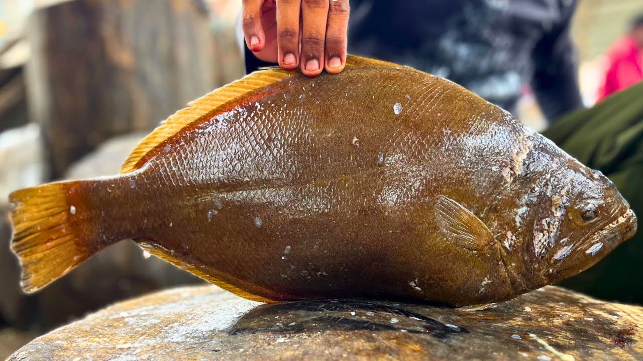 NAAKU (SOLE) FISH CUTTING BY SMILEY SEKAR | HD VIDEO | IN KASIMEDU ...
