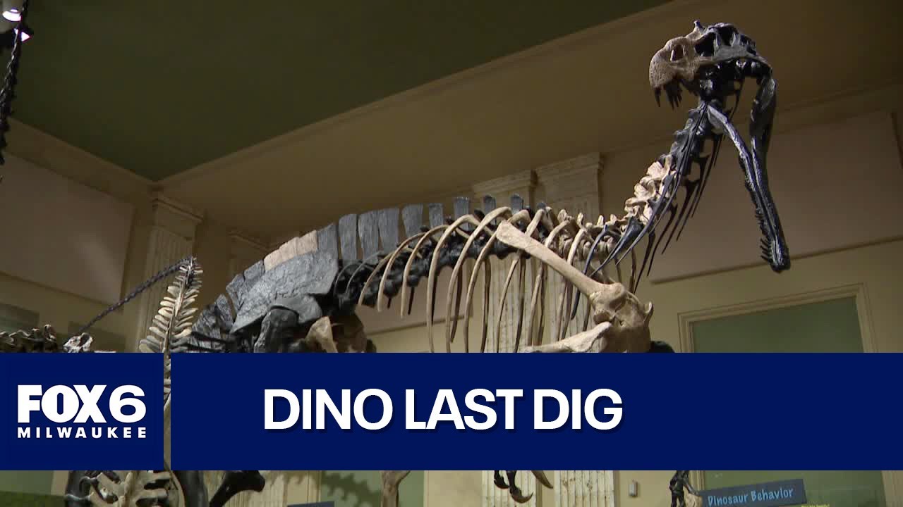 Kenosha fossil hunters make rare dinosaur find | FOX6 News Milwaukee ...