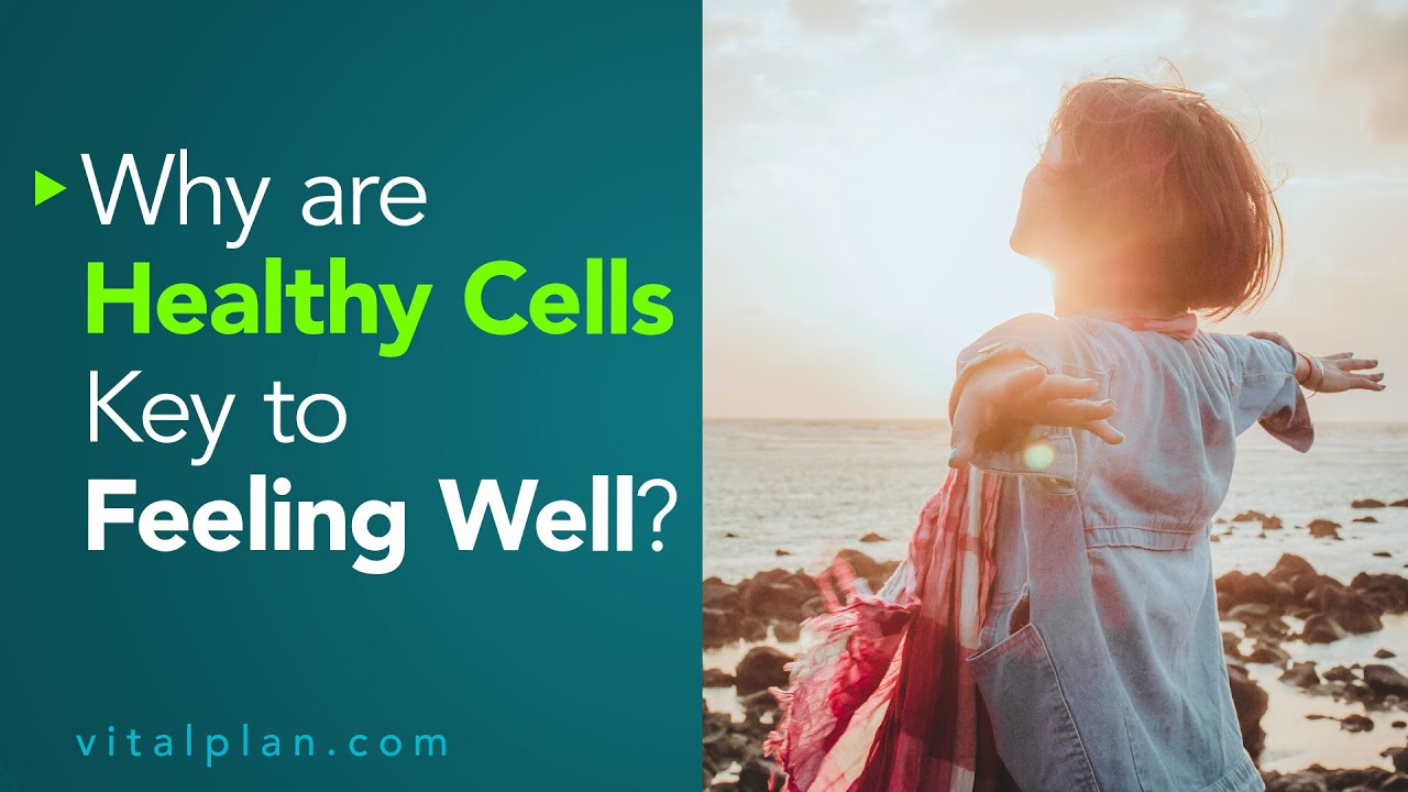 Why are Healthy Cells Key to Feeling Well | Vital Plan Webinar Short ...