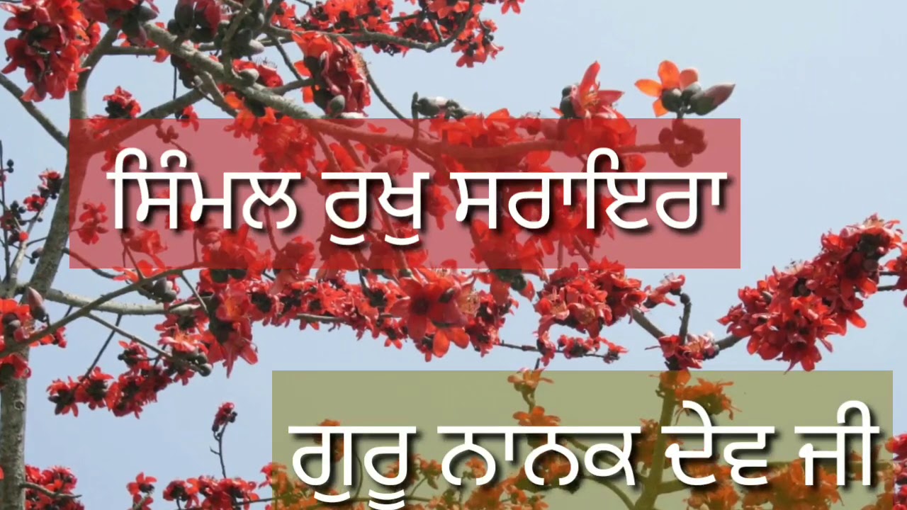 Simal rukh saraera CLASS IX - YouTube