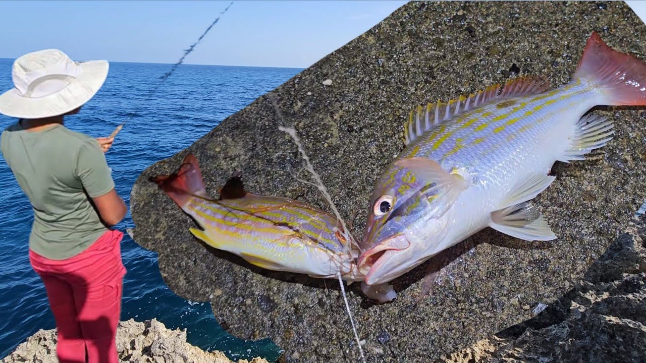 Our Guests Join Us For A Fishing Adventure || Snappers Caught On A ...