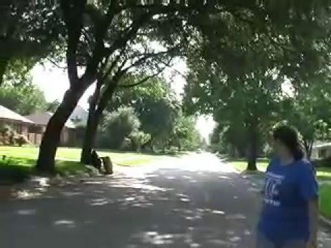 Vampire Sword Fighters