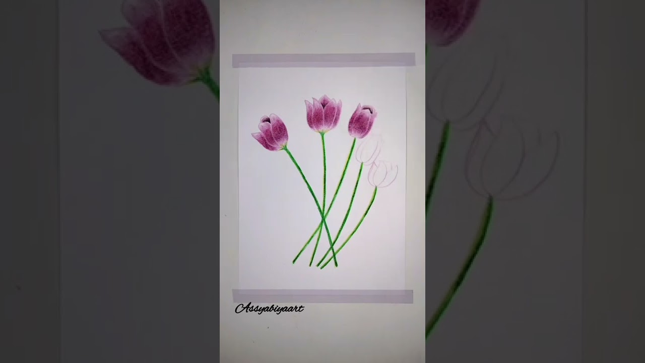 Menggambar bunga tulip menggunakan pensil warna - YouTube