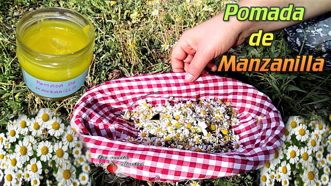 Pomada de Manzanilla Curativa - YouTube