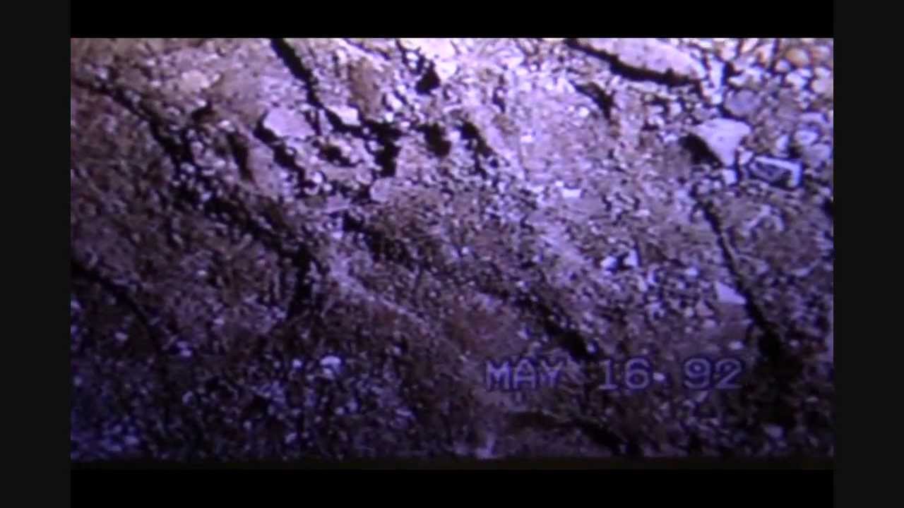 Sasquatch Foot Print Cascade Mountains Marblemount, Washington May 16 ...