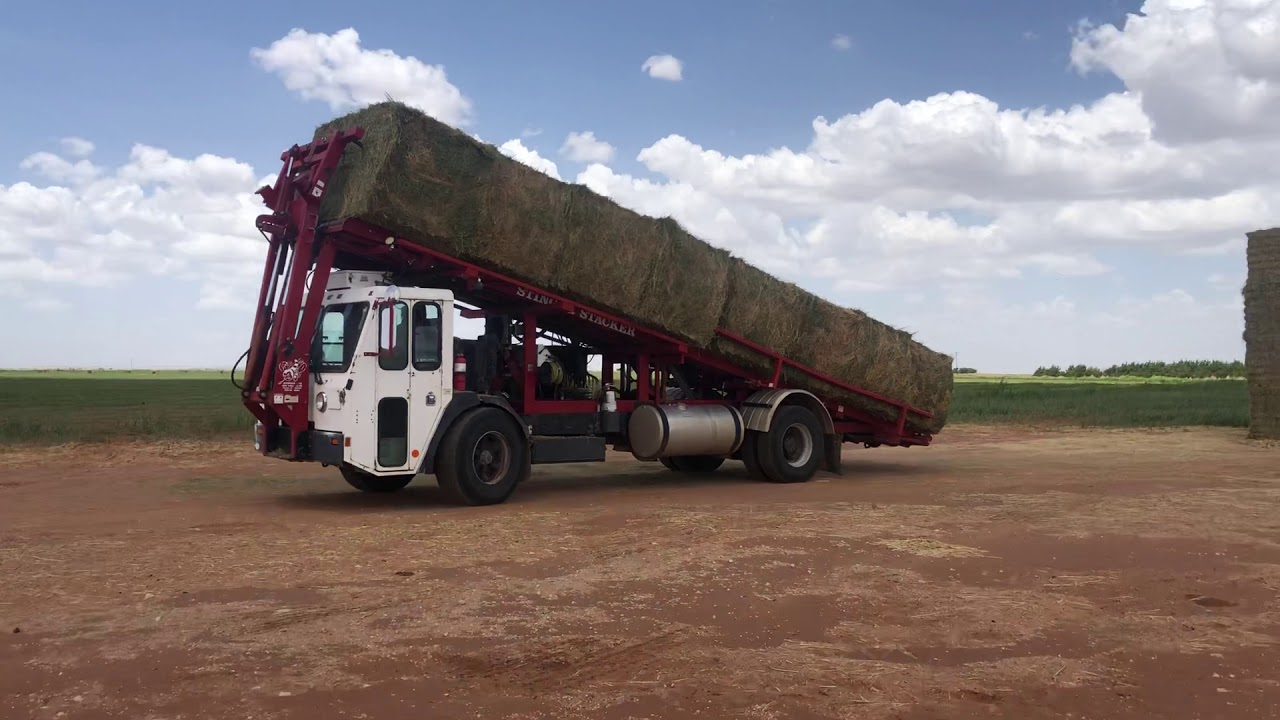 2400 Stinger stacking alfalfa hay in New Mexico - YouTube