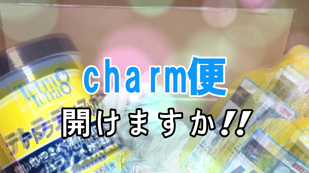 【アクアリウム】 開封&商品紹介 Youtube