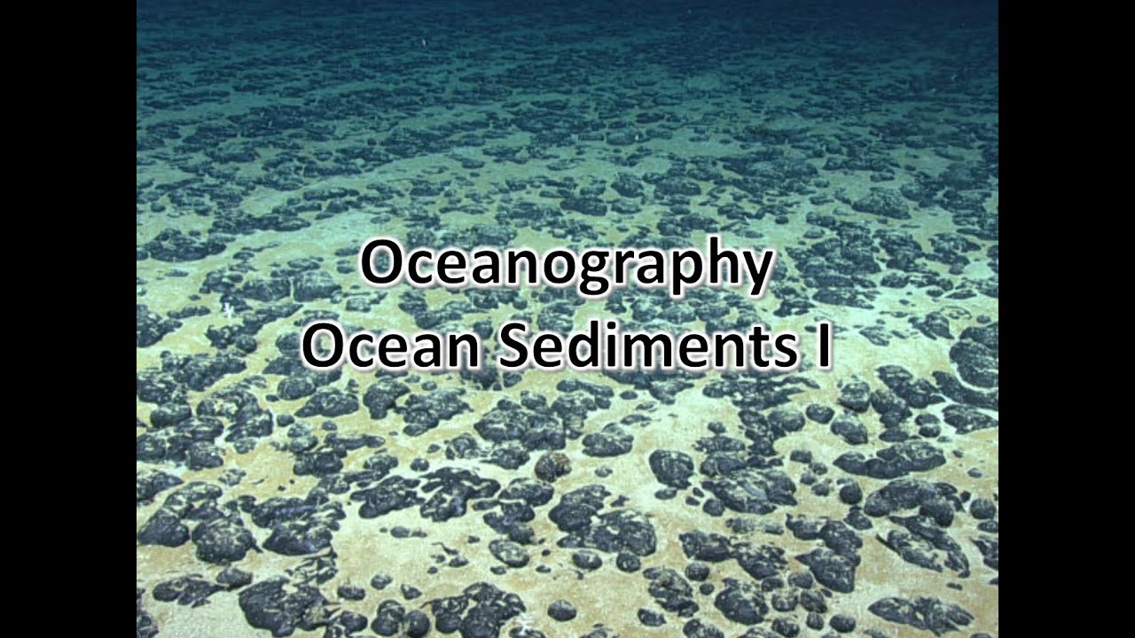 Sediment I (Oceanography) - YouTube