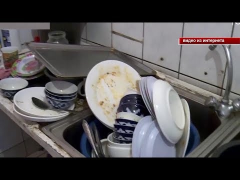 Антисанитария царит в службе санитарного надзора г. Ош / 23.05.18 / НТС